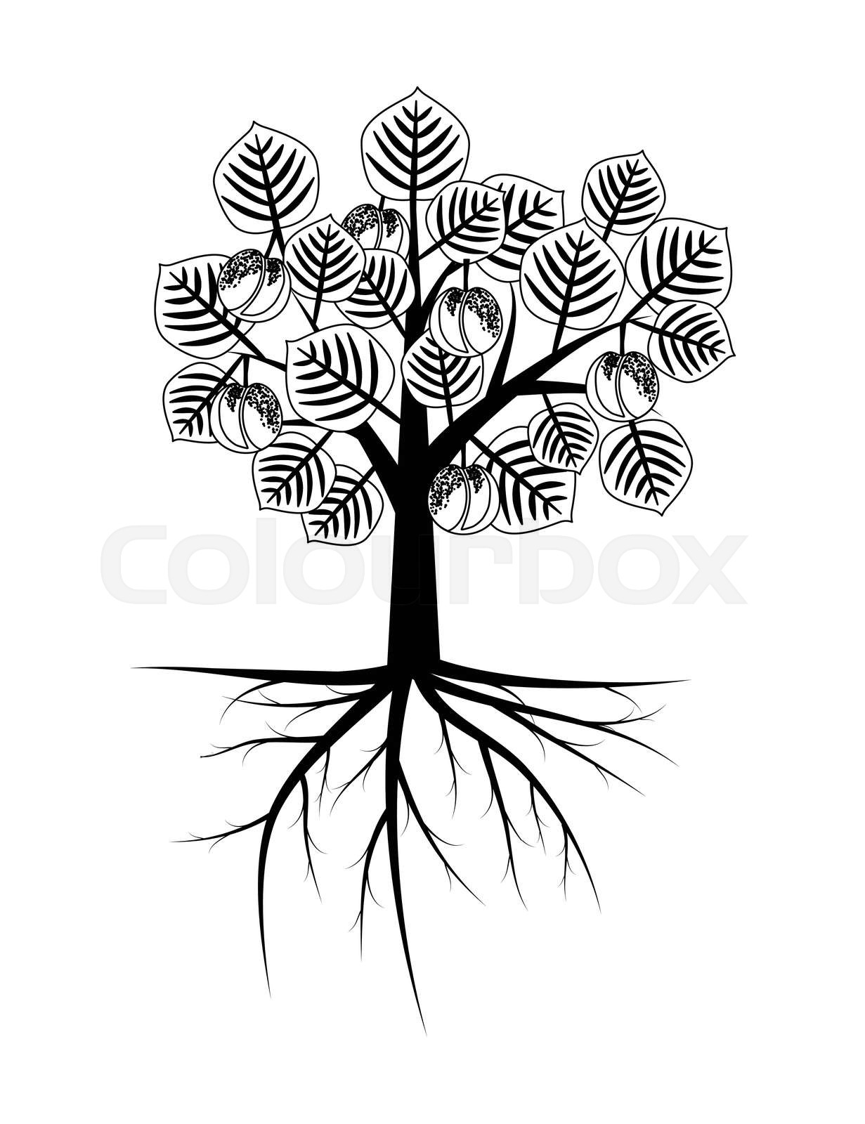 Decorative apricot tree | Stock vector | Colourbox