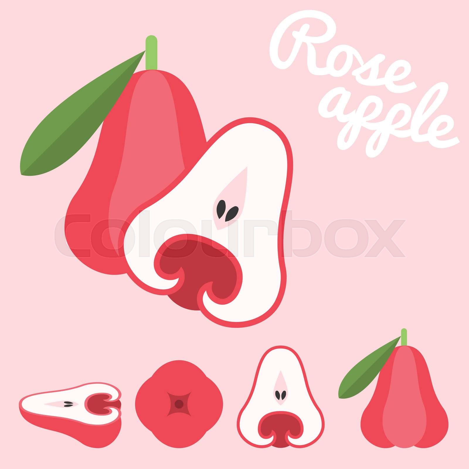 Vector rose apple, flat design | Stock vector | Colourbox