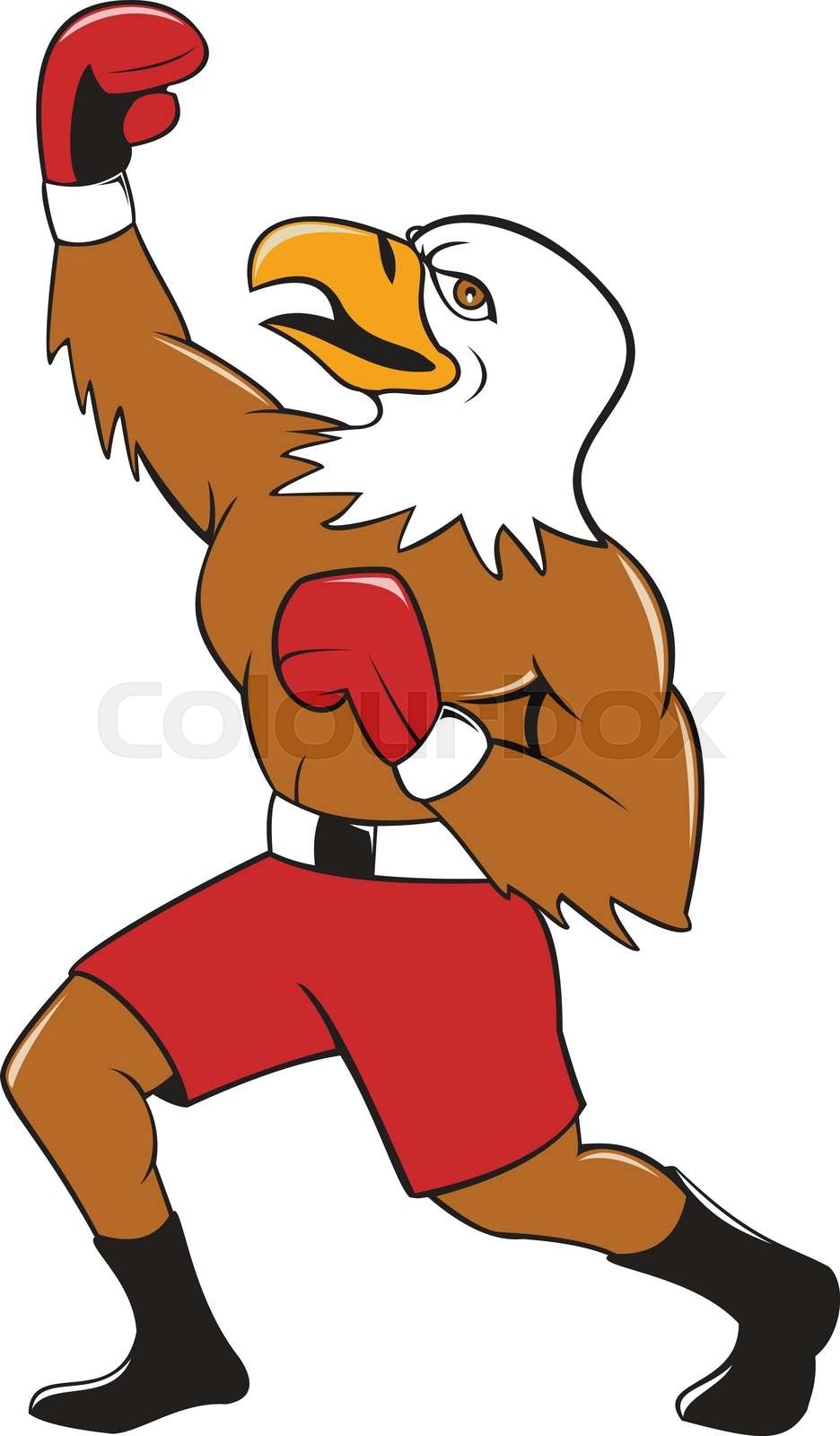Bald Eagle Boxer Pumping Fist Cartoon | Stock vector | Colourbox