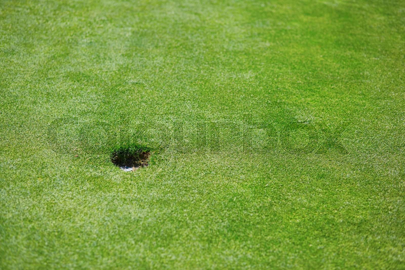 Golf hole and green grass | Stock image | Colourbox
