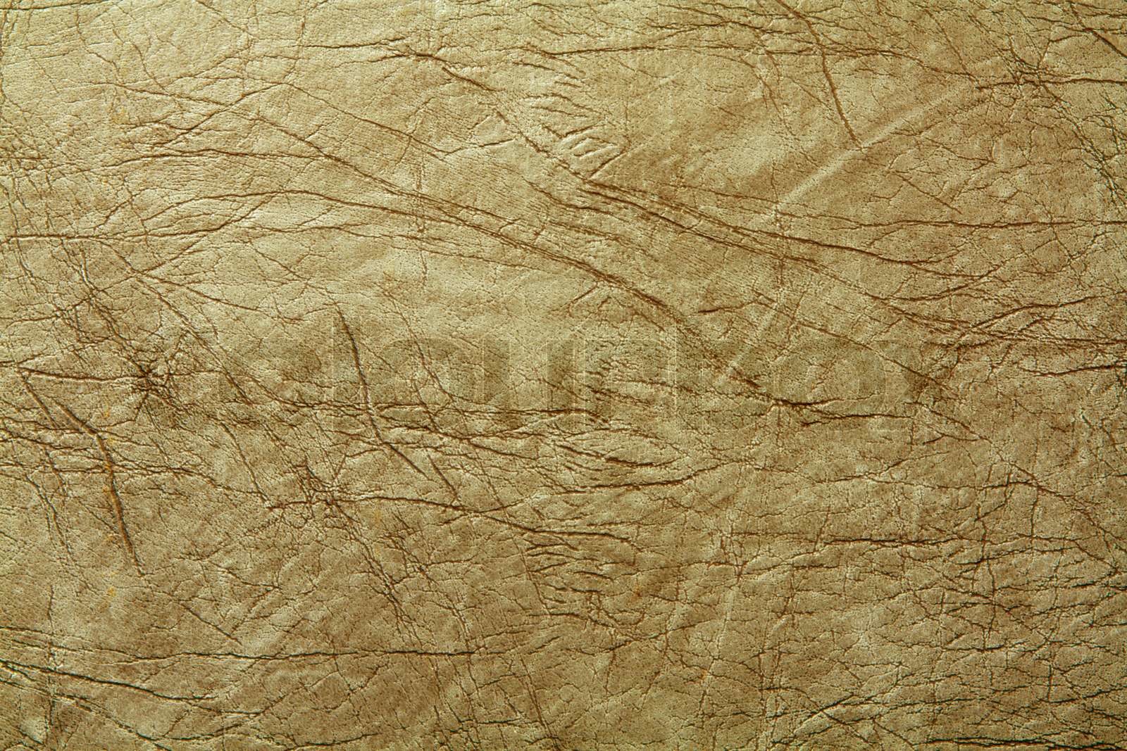 Eine detaillierte Nahaufnahme von Leder. | Stock Bild | Colourbox