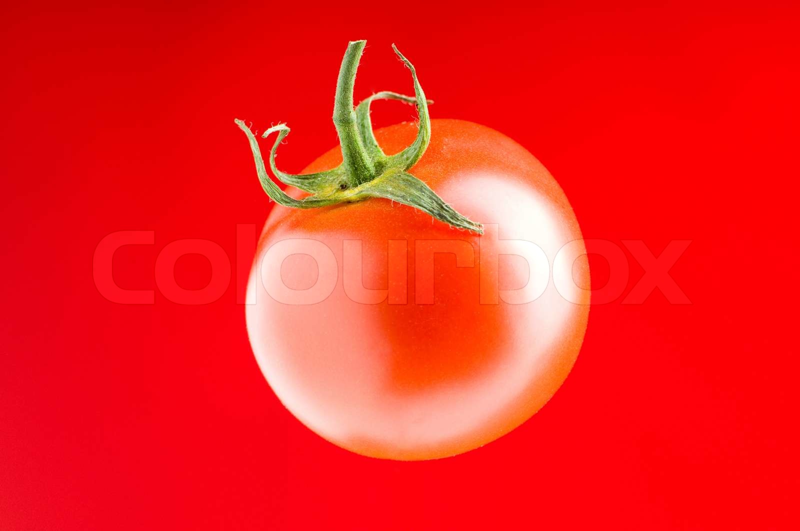 Red tomato against gradient background | Stock image | Colourbox