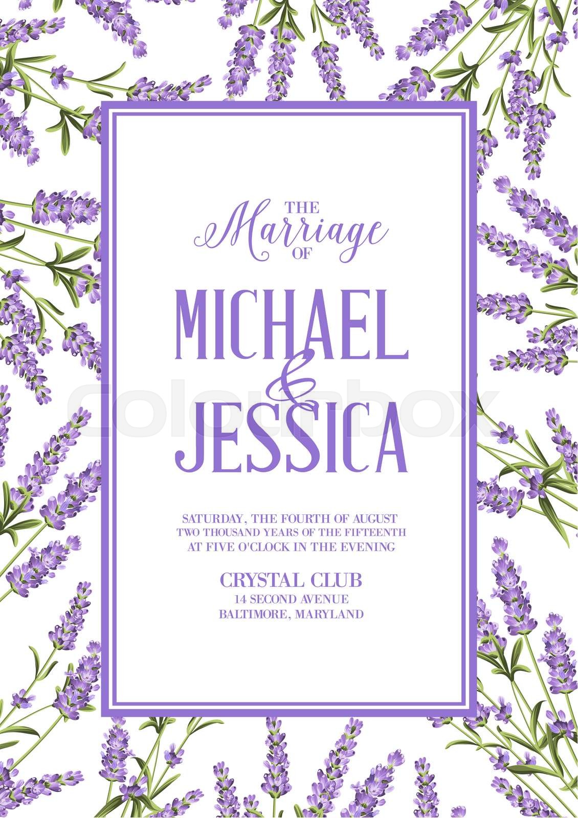 Lavender sign label. | Stock image | Colourbox
