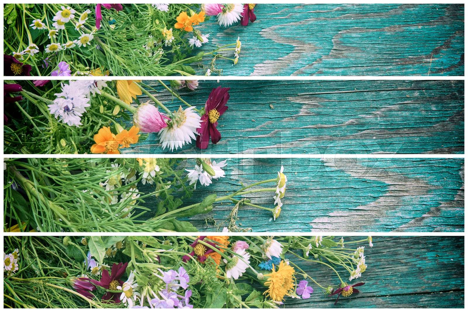 Summer flowers mock up | Stock image | Colourbox