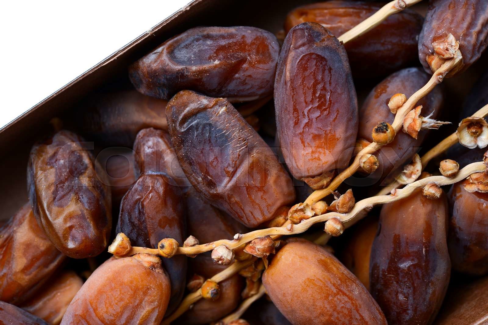 palm fruit | Stock image | Colourbox