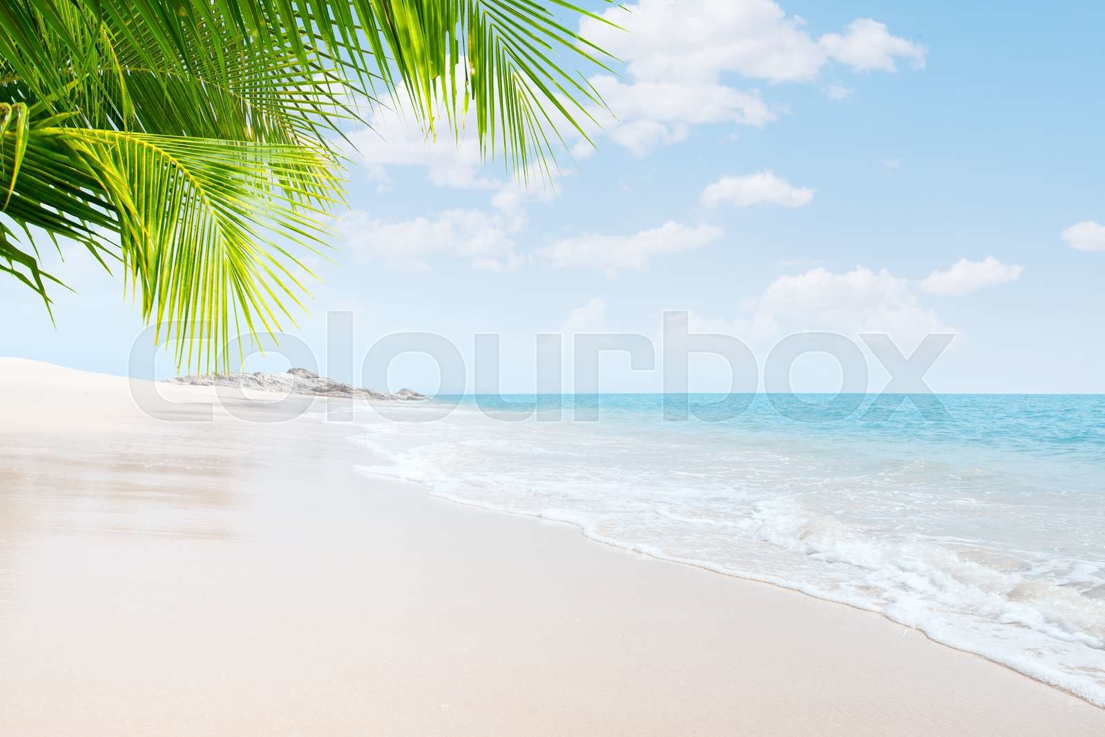 tropic beach | Stock image | Colourbox