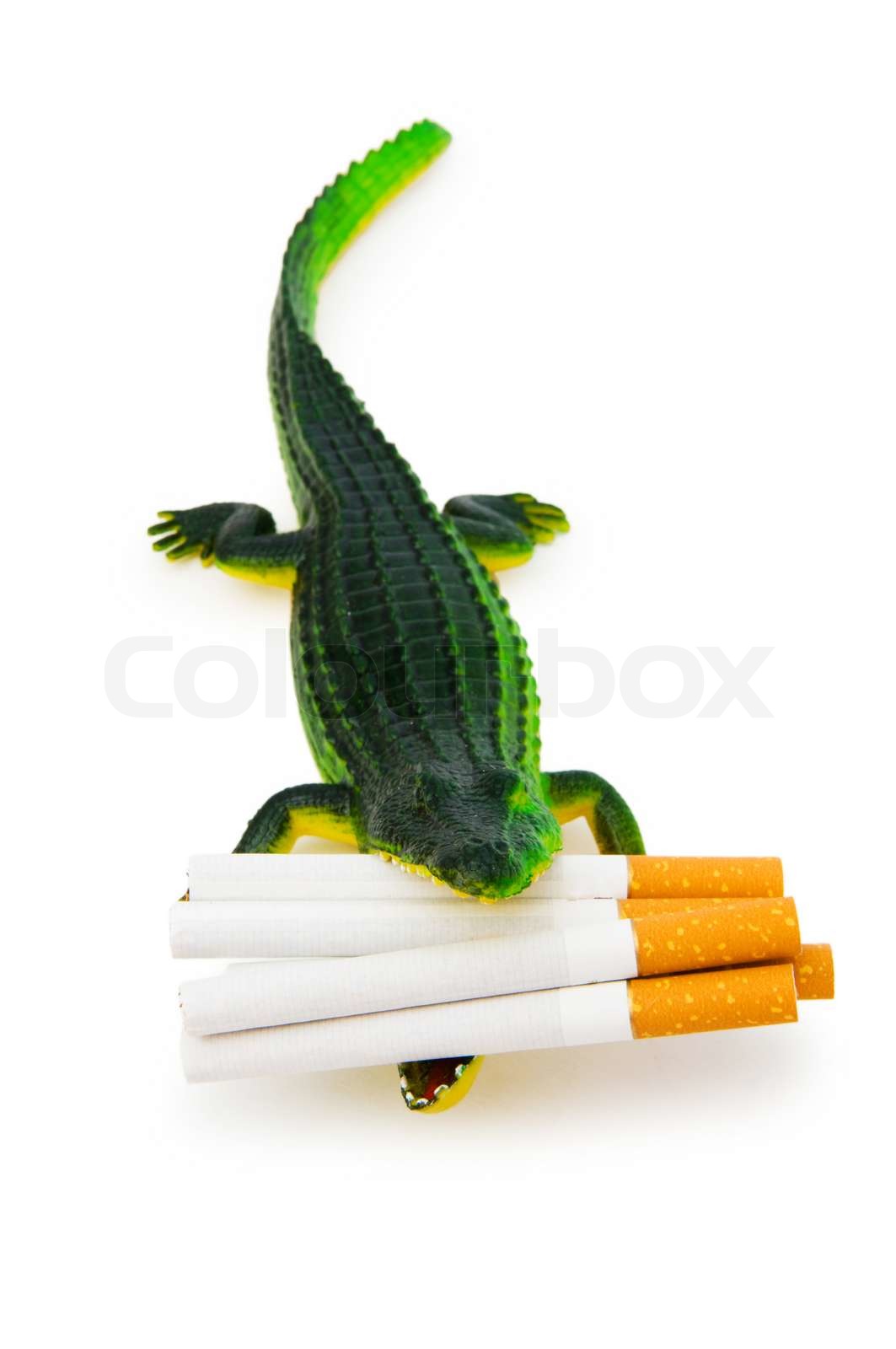 Crocodile with cigarettes isolated on white | Stock image | Colourbox