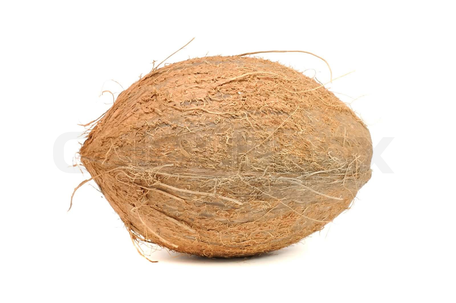 Coconut auf weißem Hintergrund | Stock Bild | Colourbox