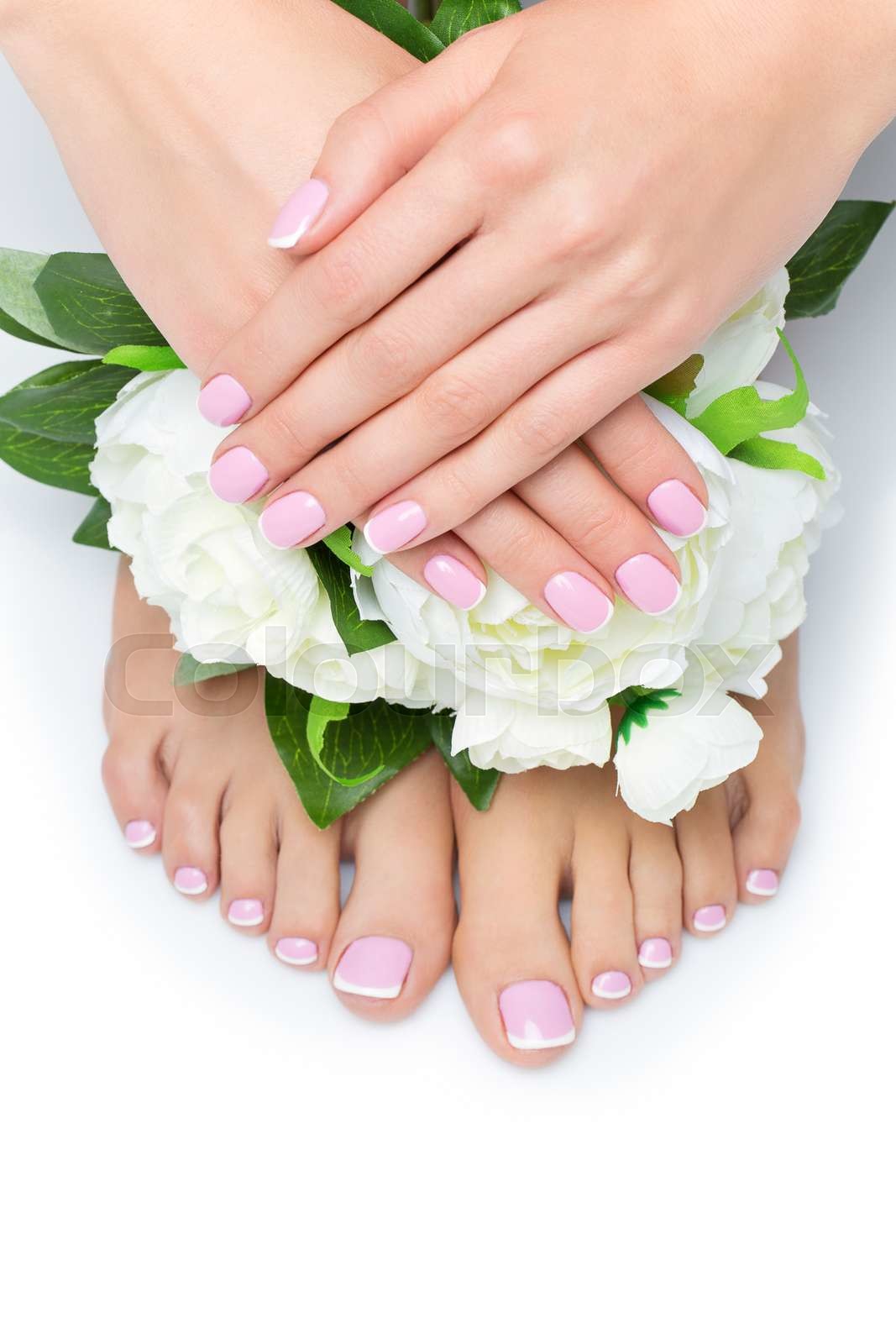 Woman hands and feet with french manicure | Stock image | Colourbox