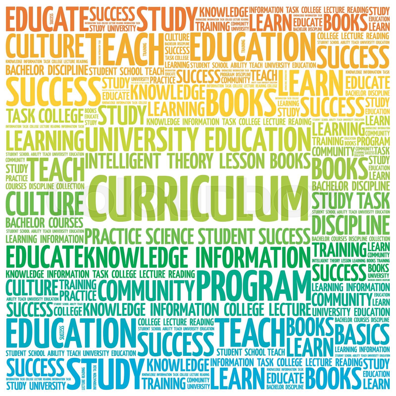 CURRICULUM word cloud | Stock vector | Colourbox