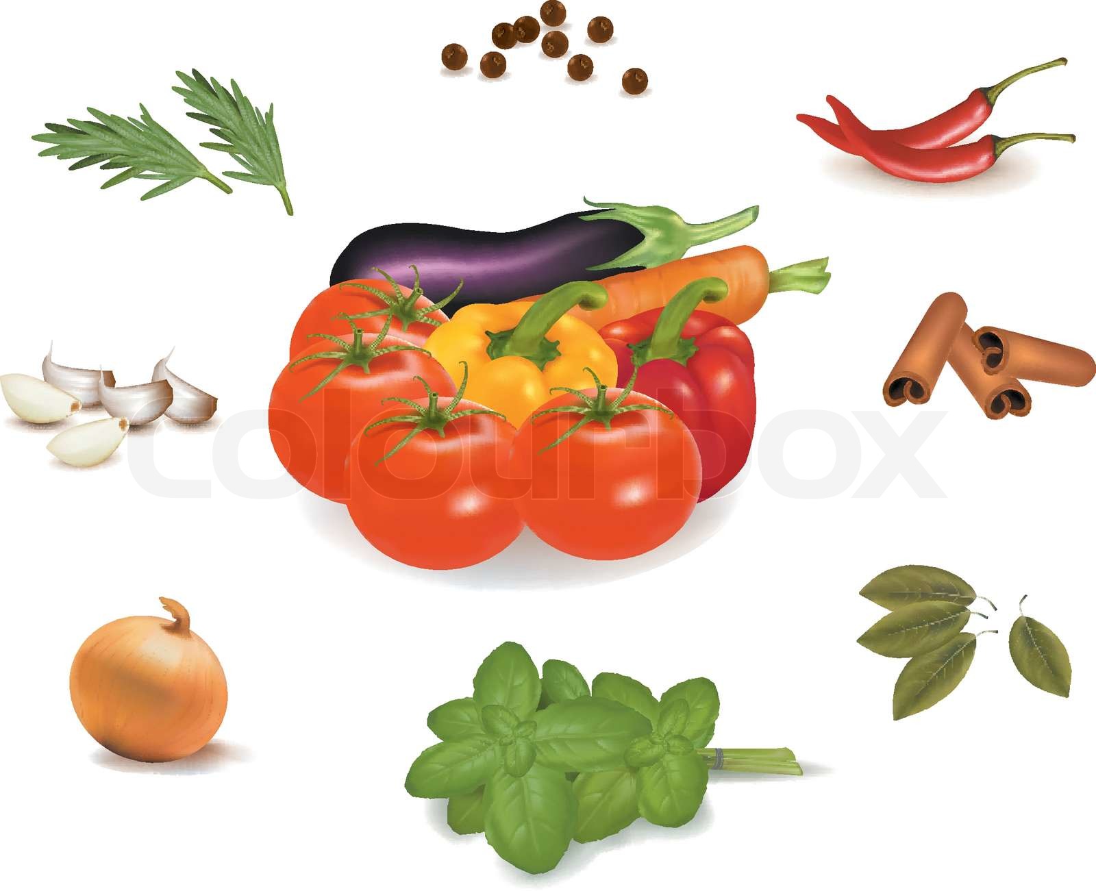 Group of spices. Vector. | Stock vector | Colourbox