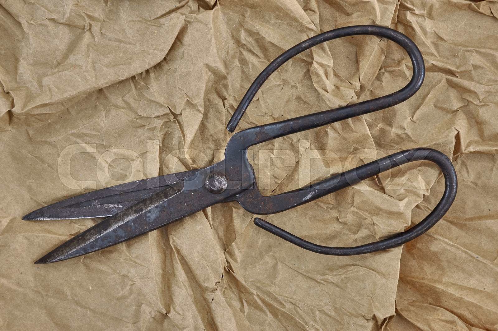 Vintage Scissors | Stock image | Colourbox