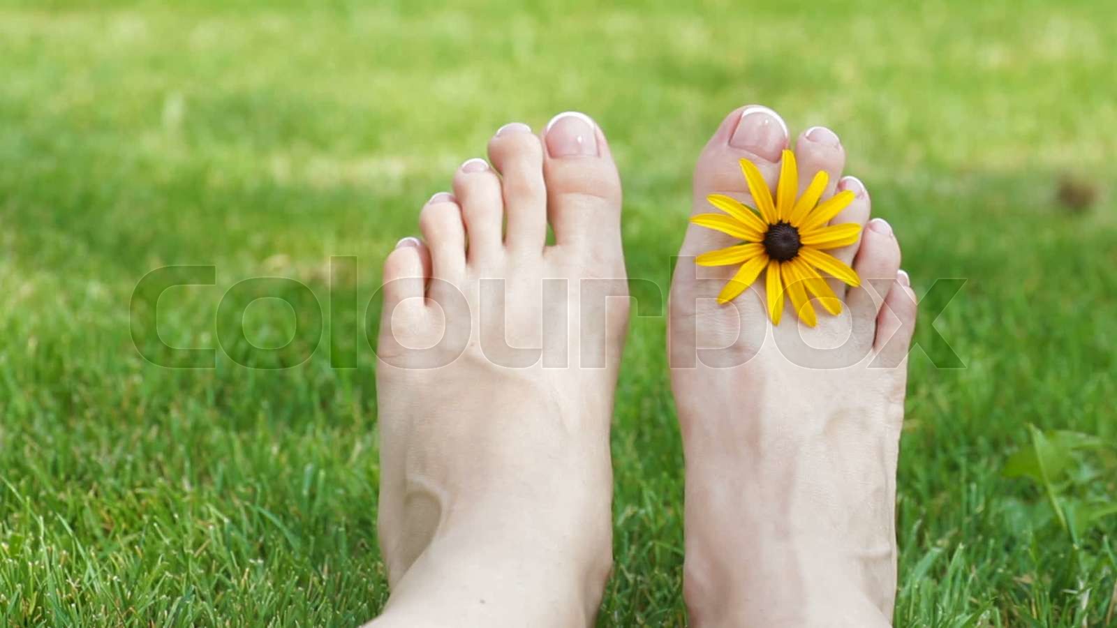 Relaxing pedicure and manicure with a pink rose flower | Stock video ...