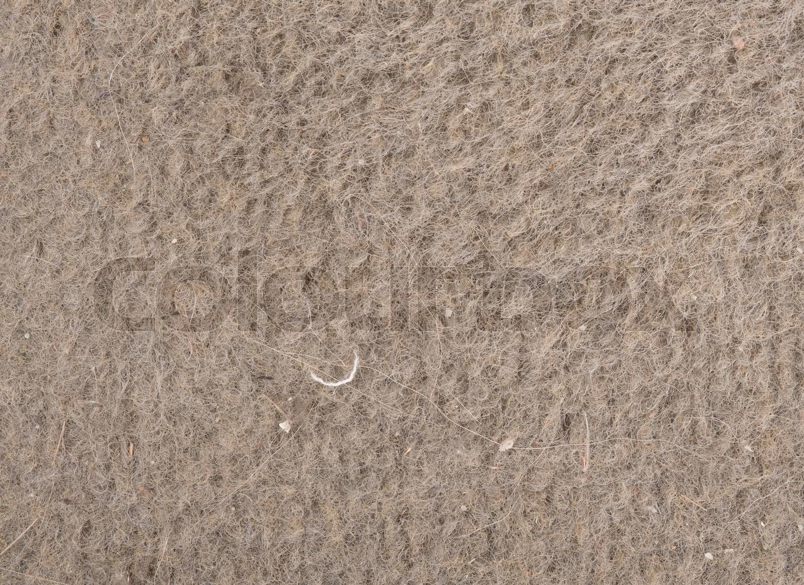 carpet texture, top view | Stock image | Colourbox