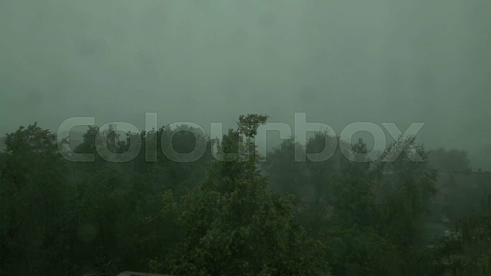 Storm and strong wind. | Stock video | Colourbox
