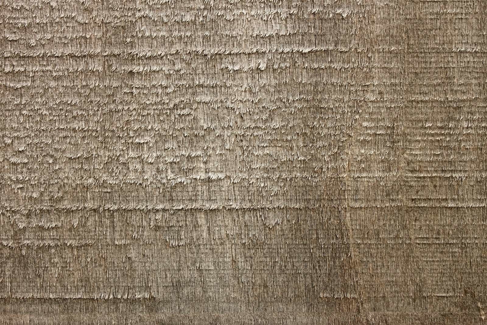 The fragment of old fuzzy wooden board as texture | Stock image | Colourbox