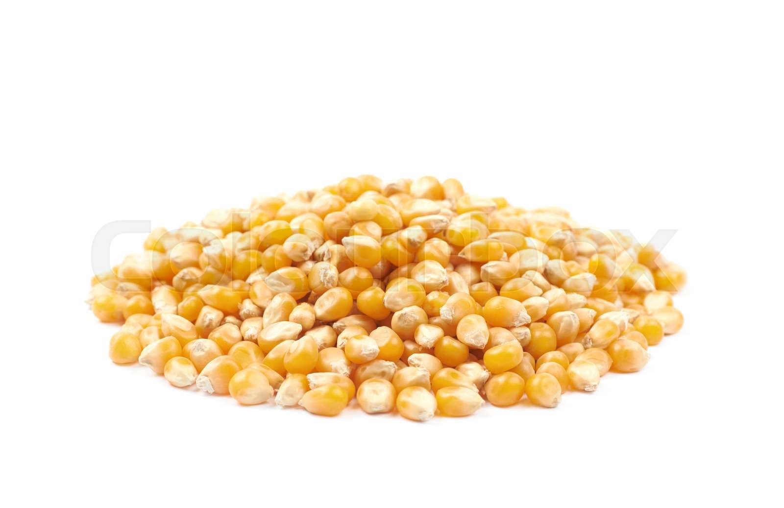 Pile of corn kernels isolated | Stock image | Colourbox