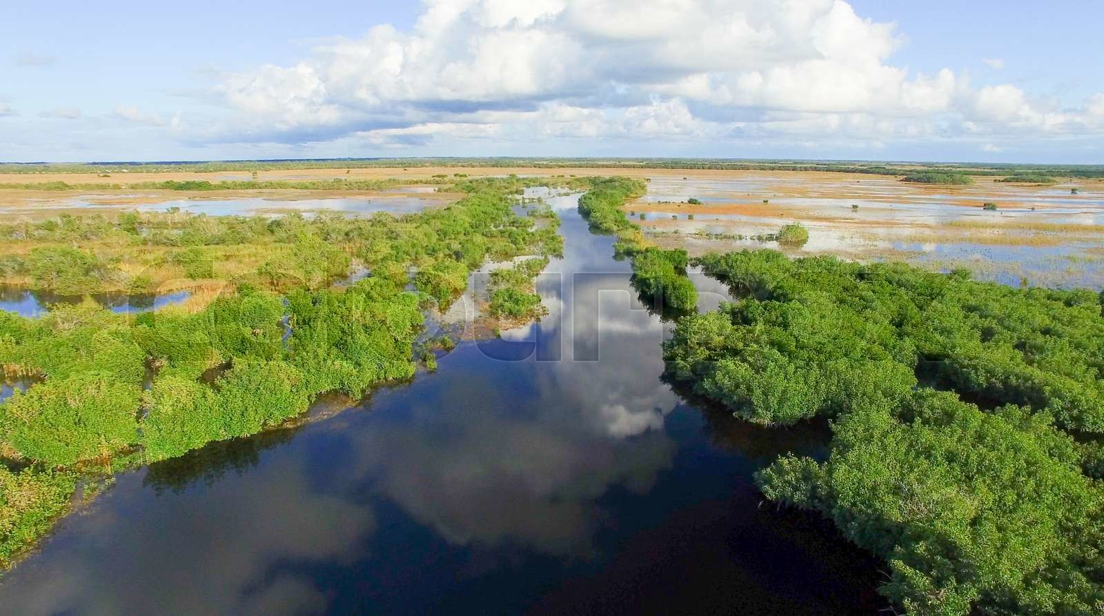 Overhead view of Everglades swamp, Florida - USA | Stock image | Colourbox