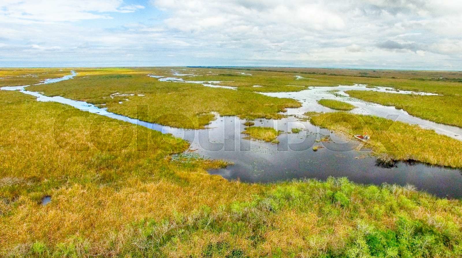 Overhead view of Everglades swamp, Florida - USA | Stock image | Colourbox