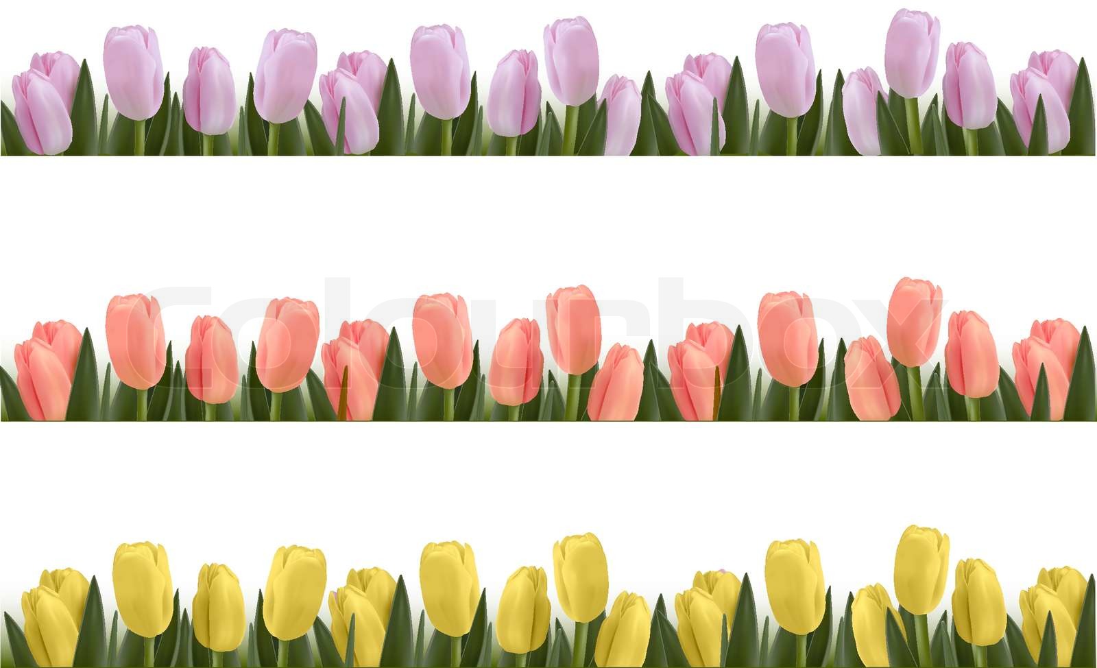 Tree flower design borders isolated on white. Vector. | Stock vector ...