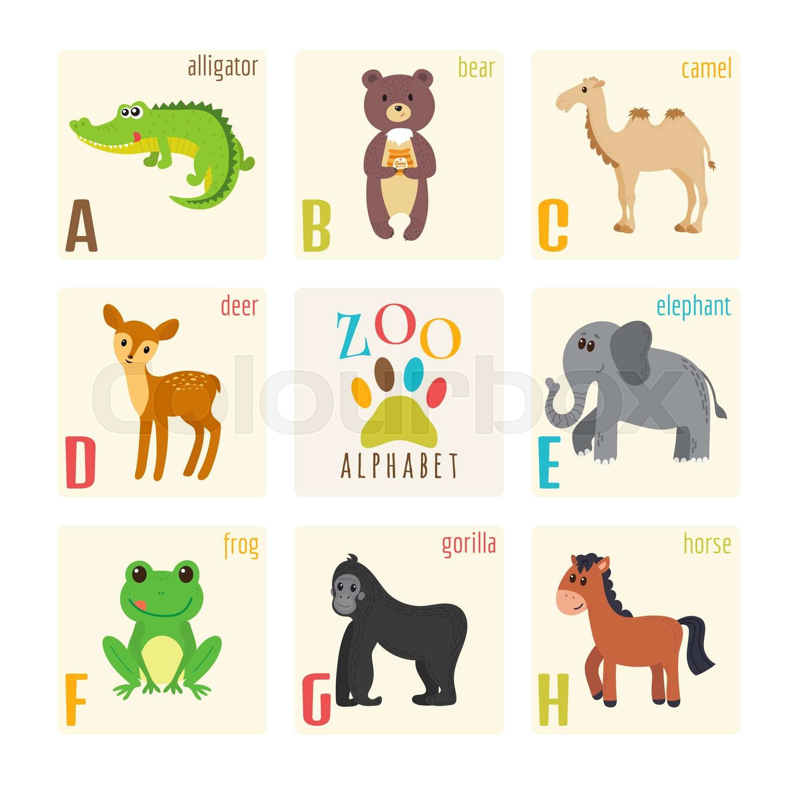 Cute zoo alphabet with animals in cartoon style. Alligator, bear, camel ...
