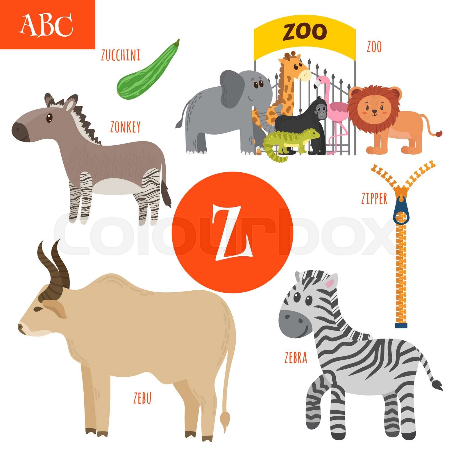 Letter Z. Cartoon alphabet for children. Zebra, zipper, zonkey, zoo ...