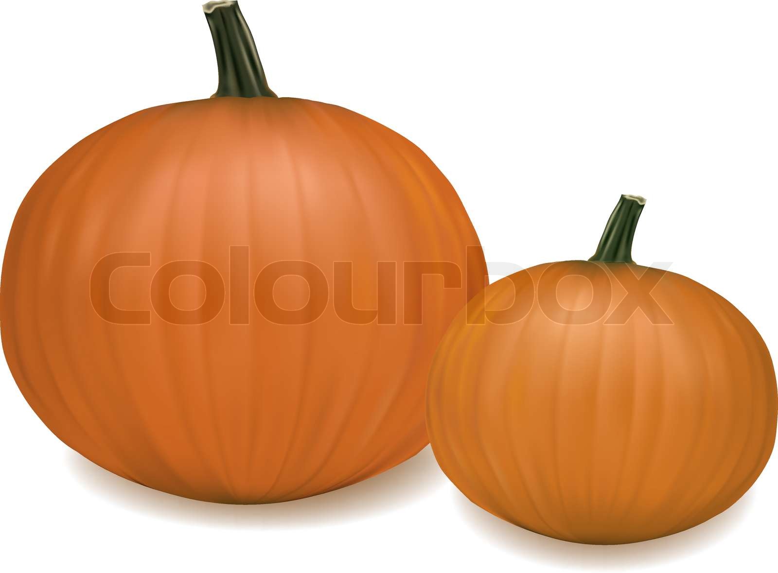 Group of fresh pumpkins. Photo-realistic vector illustration. | Stock ...