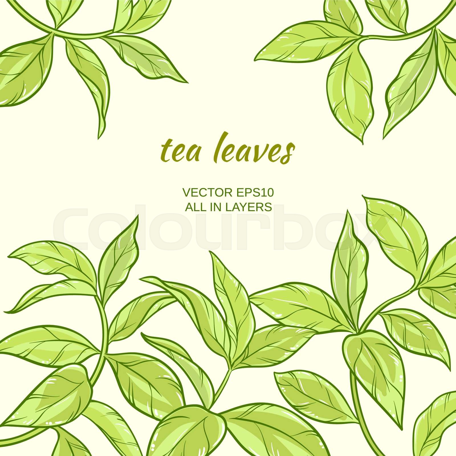 tea leaves | Stock vector | Colourbox