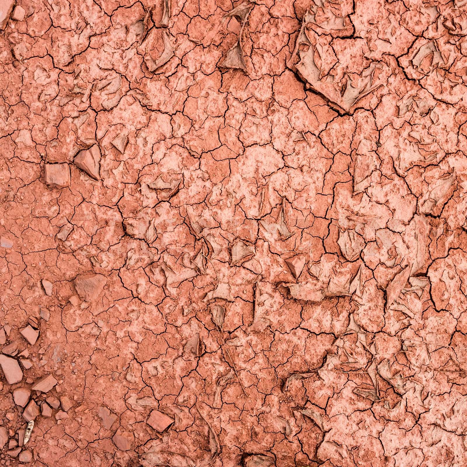 red cracked ground in iron ore | Stock image | Colourbox