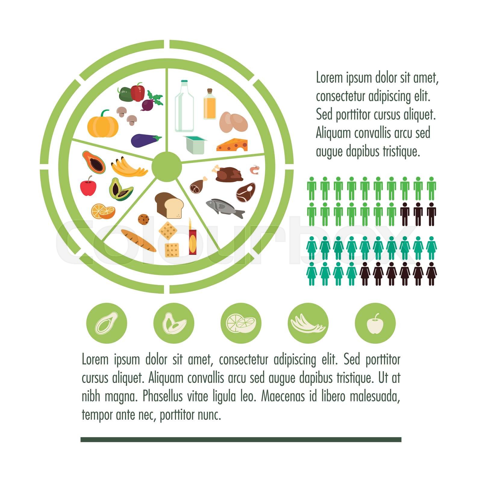 nutrition infographic food icon. Vector graphic | Stock vector | Colourbox