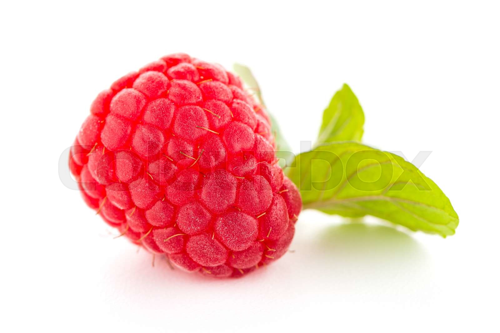 Raspberry fruit isolated | Stock image | Colourbox