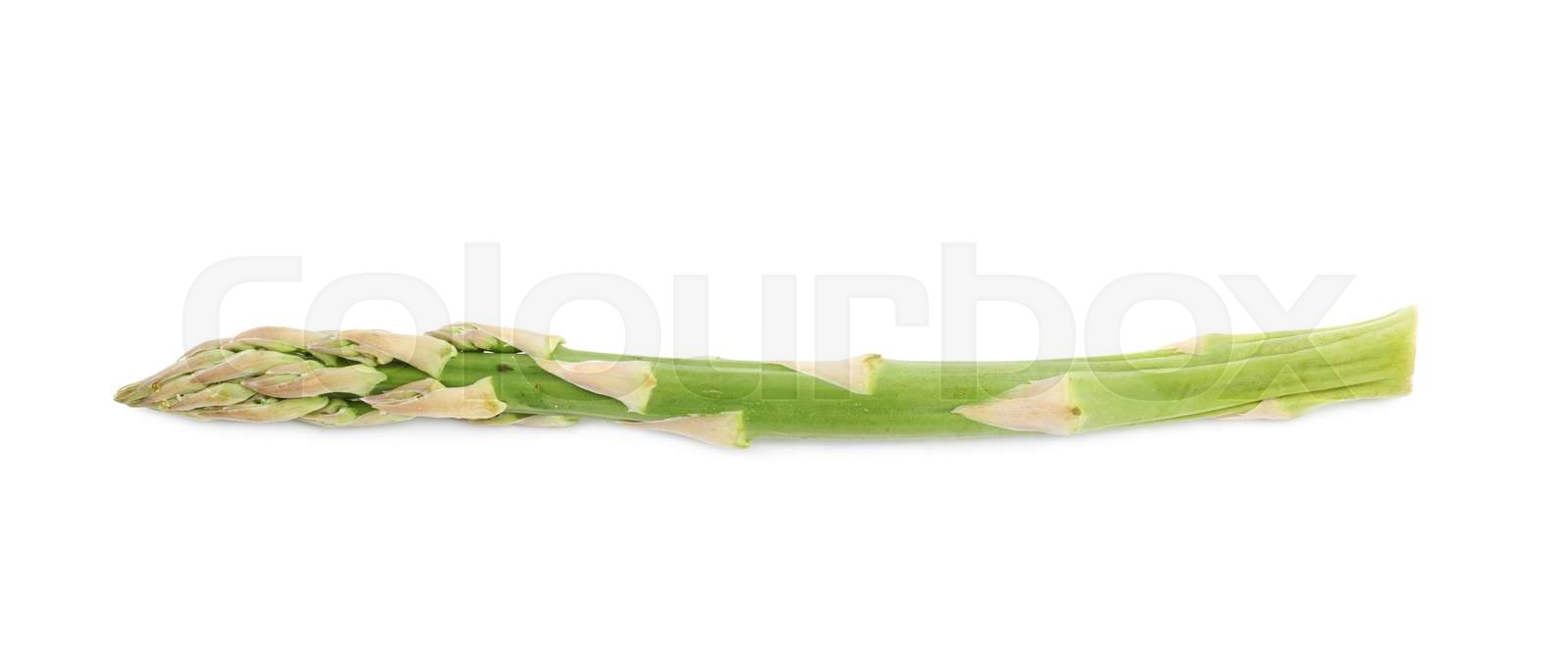 Single spear of asparagus isolated | Stock image | Colourbox