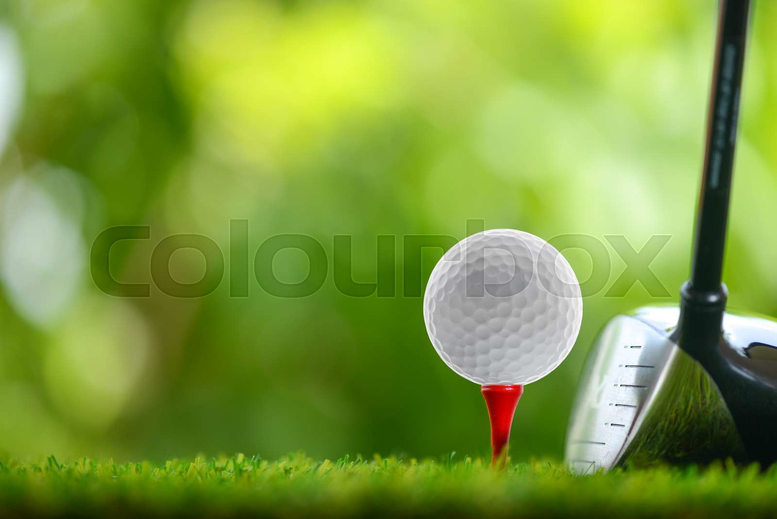 drive golf | Stock image | Colourbox