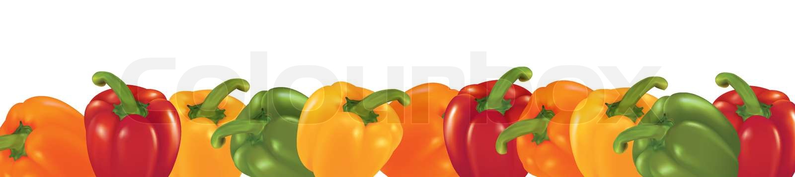 Pepper design border isolated on white. Vector. | Stock vector | Colourbox