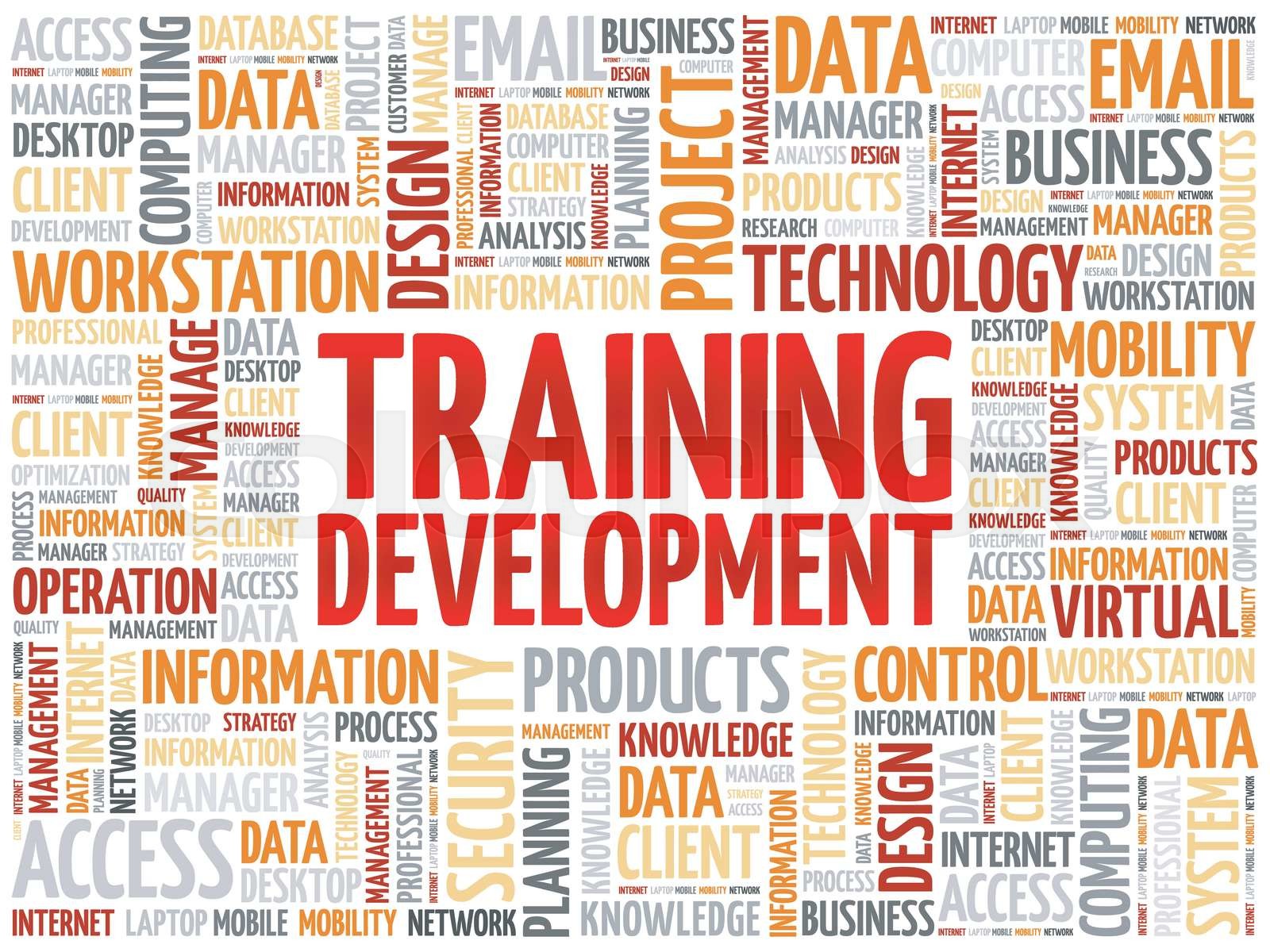 Training development word cloud | Stock vector | Colourbox