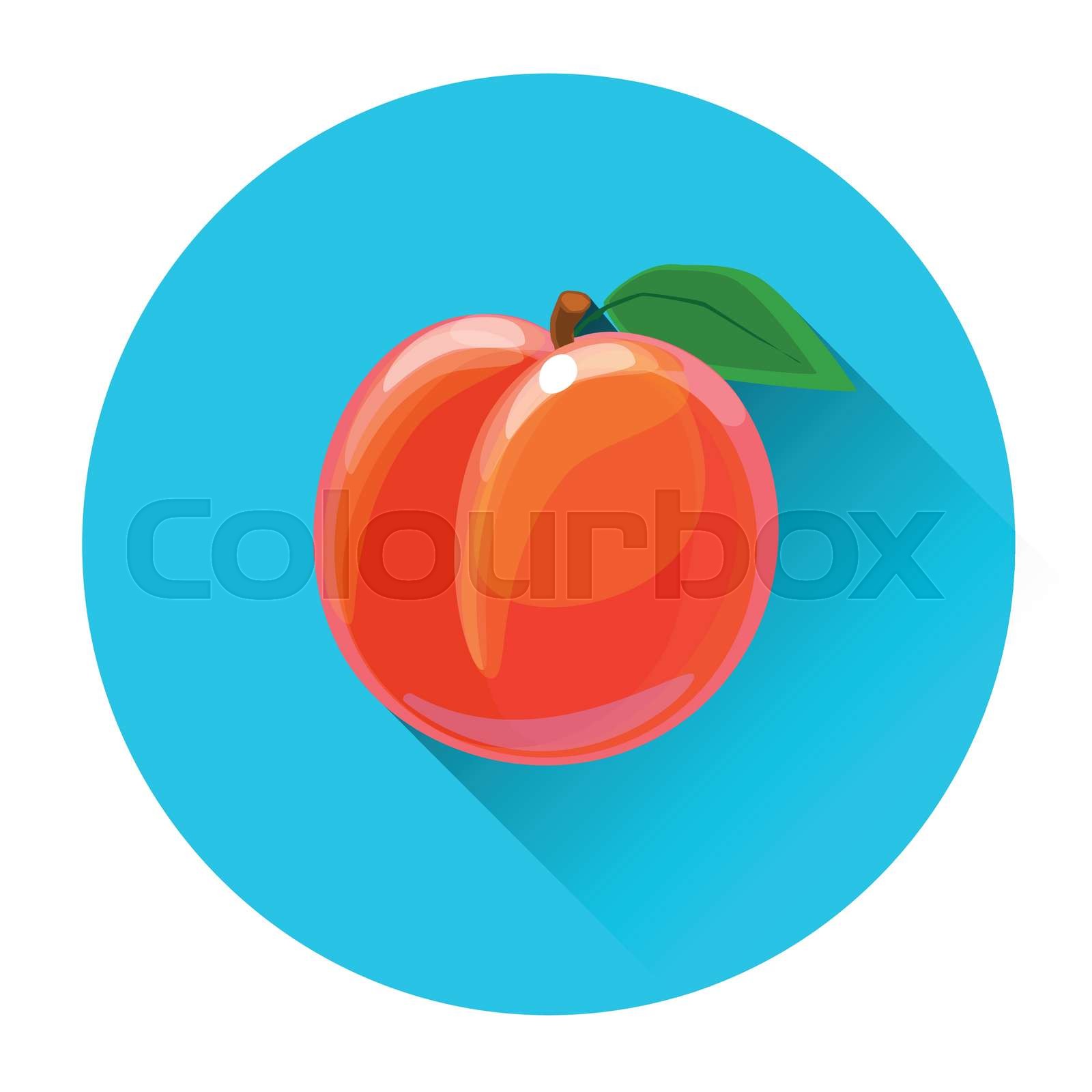 Peach Colorful Fruit Icon | Stock vector | Colourbox
