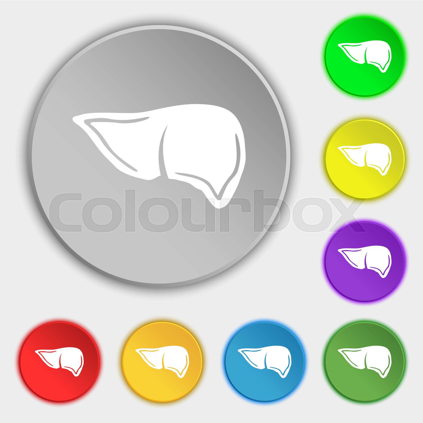 Liver icon sign. Symbol on eight flat buttons. Vector | Stock vector ...