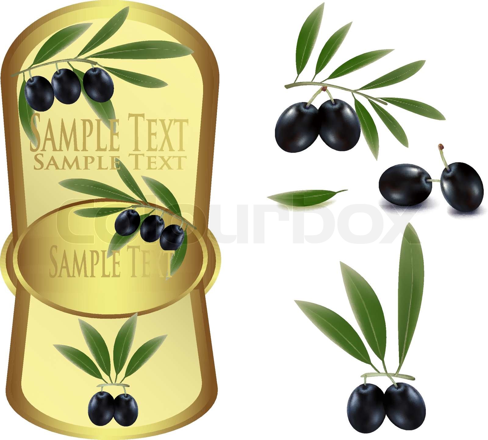 Label with olives. Vector. | Stock vector | Colourbox