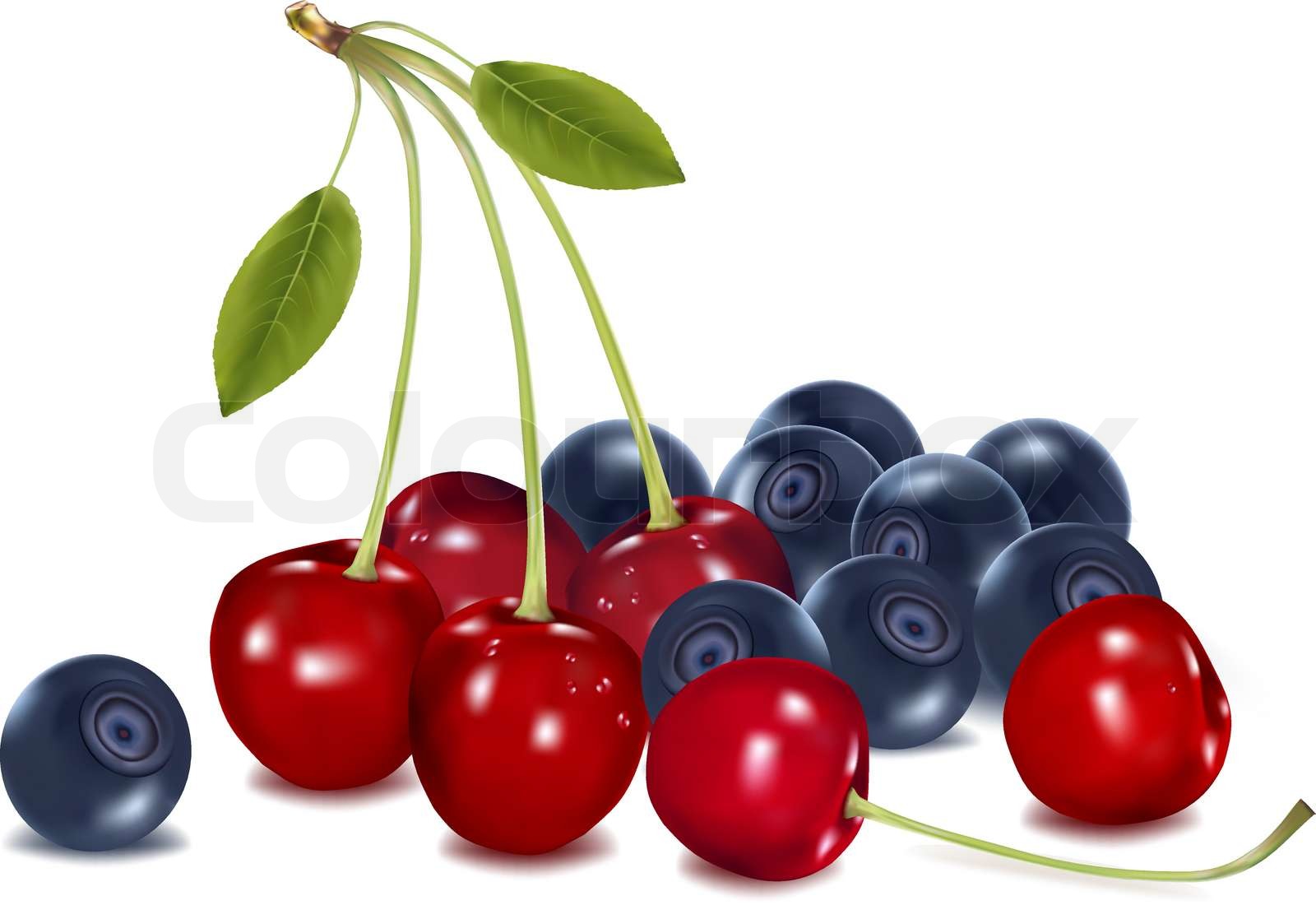 Photo-realistic vector illustration. Group of berries. | Stock vector ...