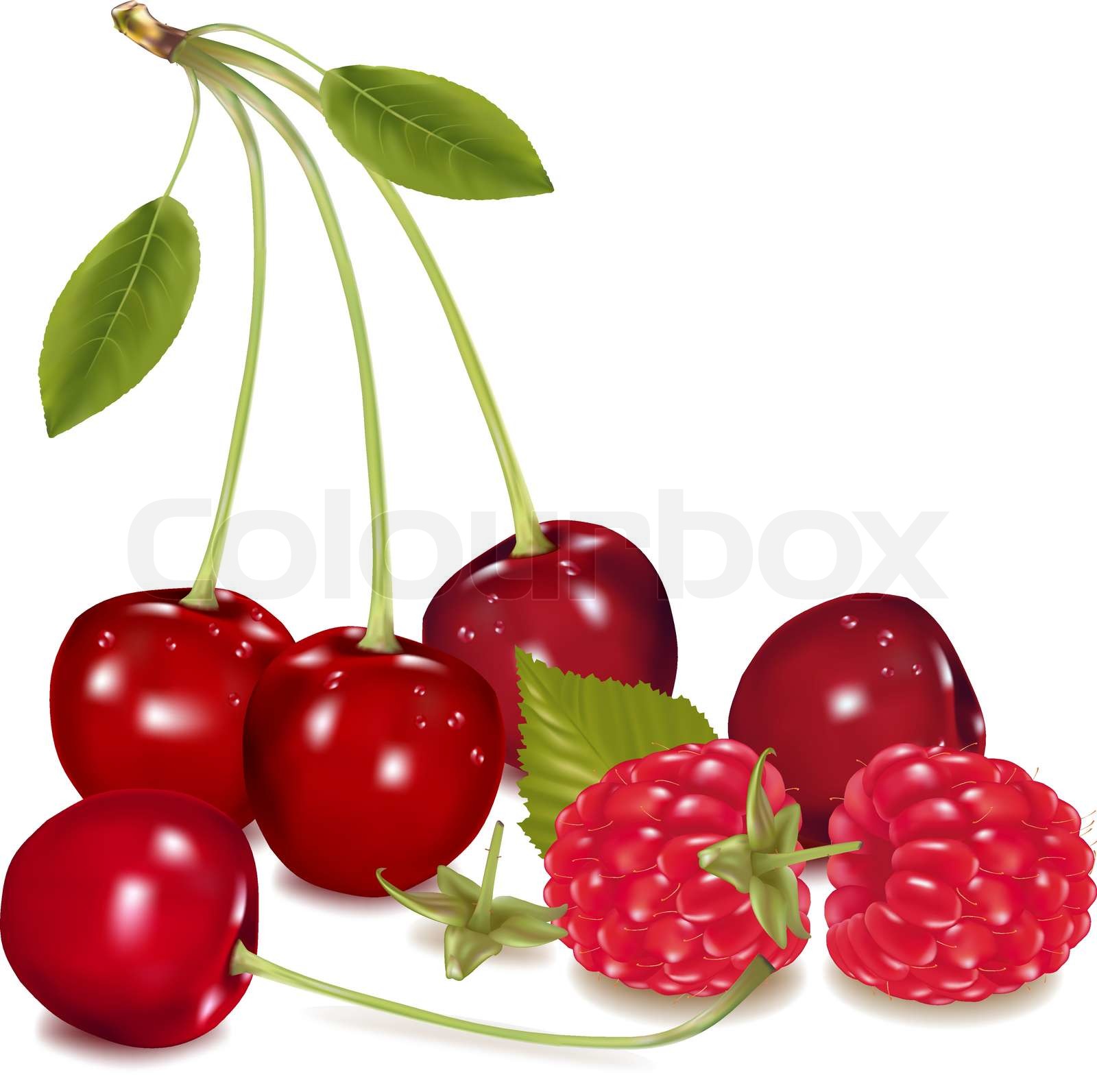 Photo-realistic vector illustration. Group of berries. | Stock vector ...