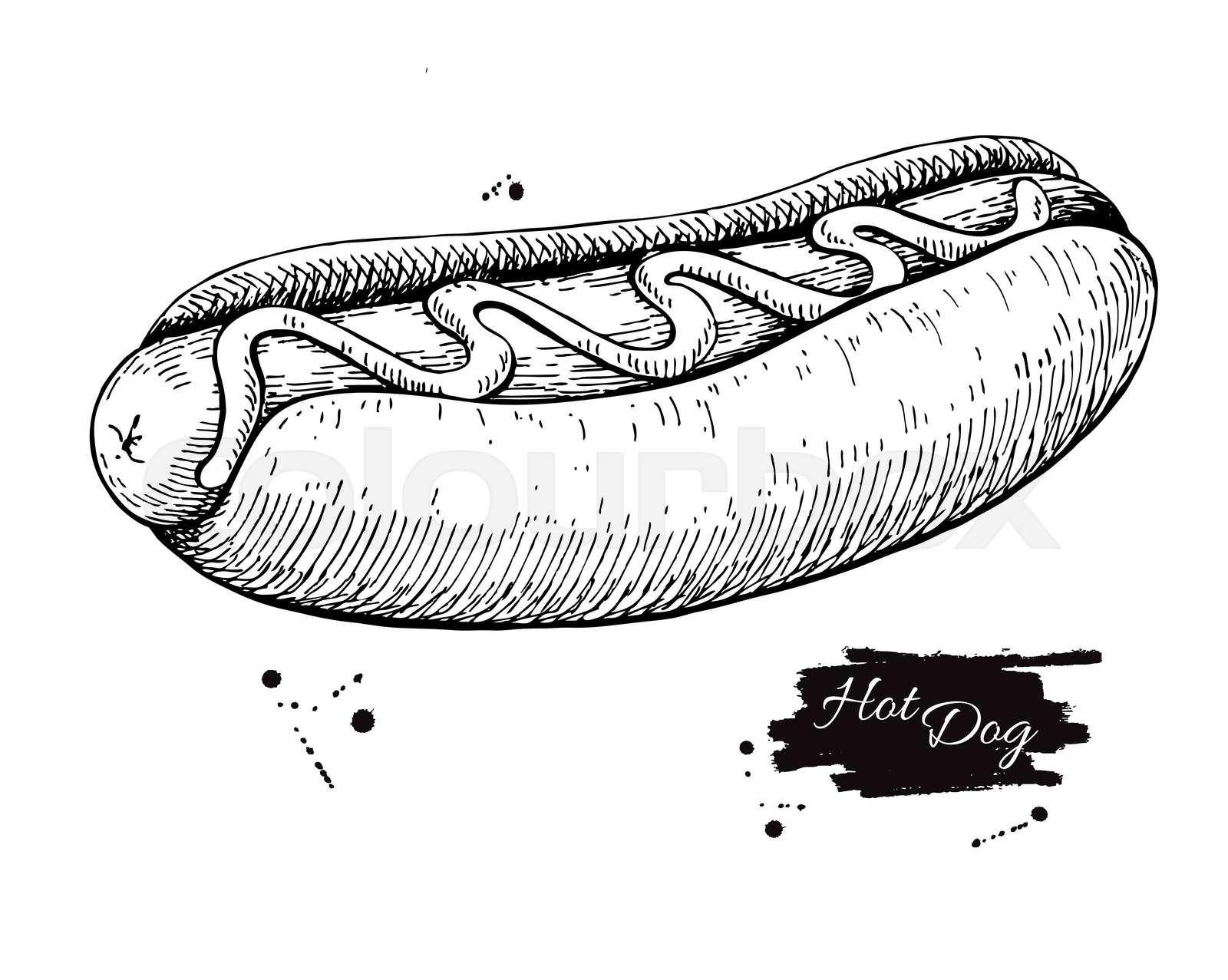 Vector vintage hot dog drawing. Hand drawn monochrome fast food ...