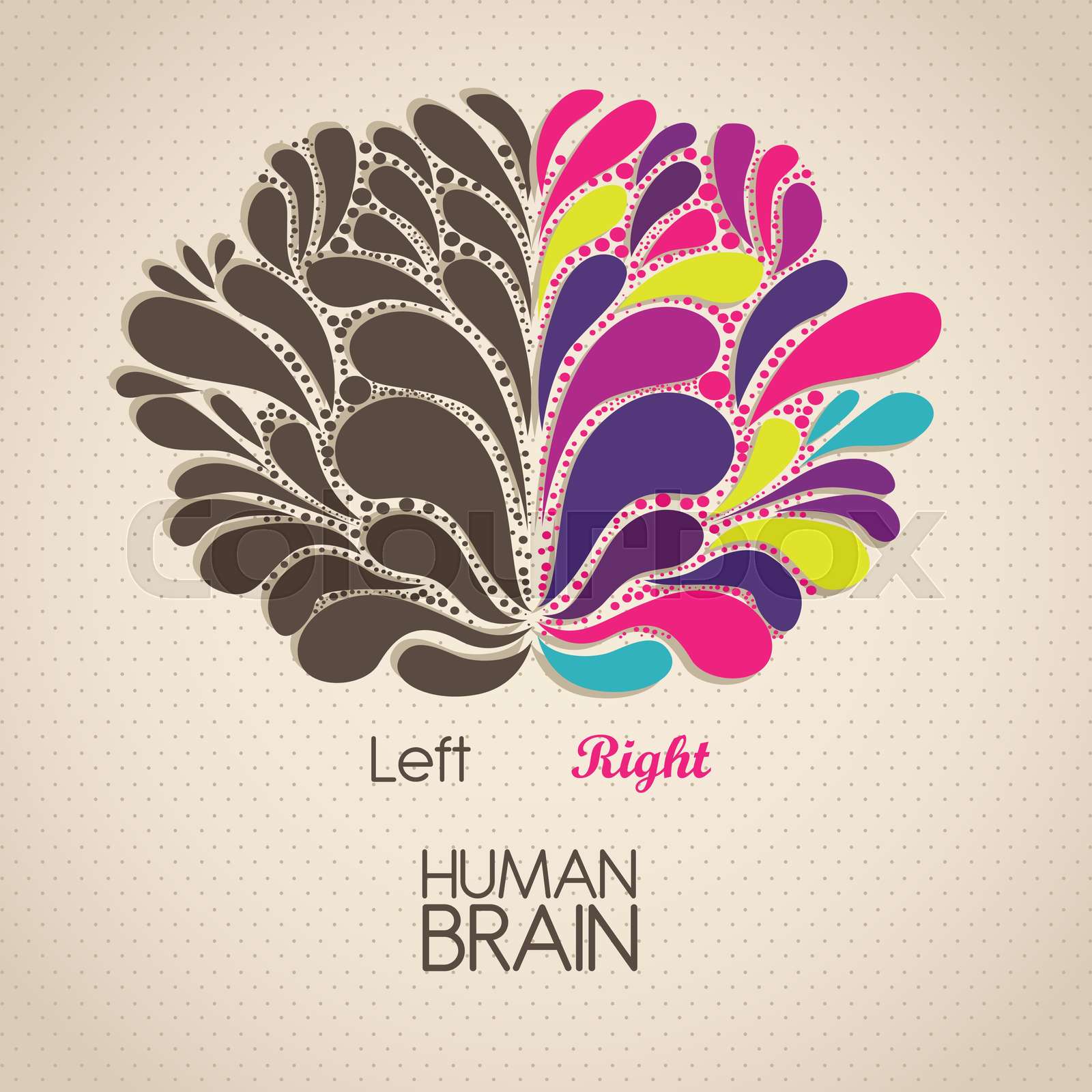 Illustration of human brain Lobes and functions vector illustration ...
