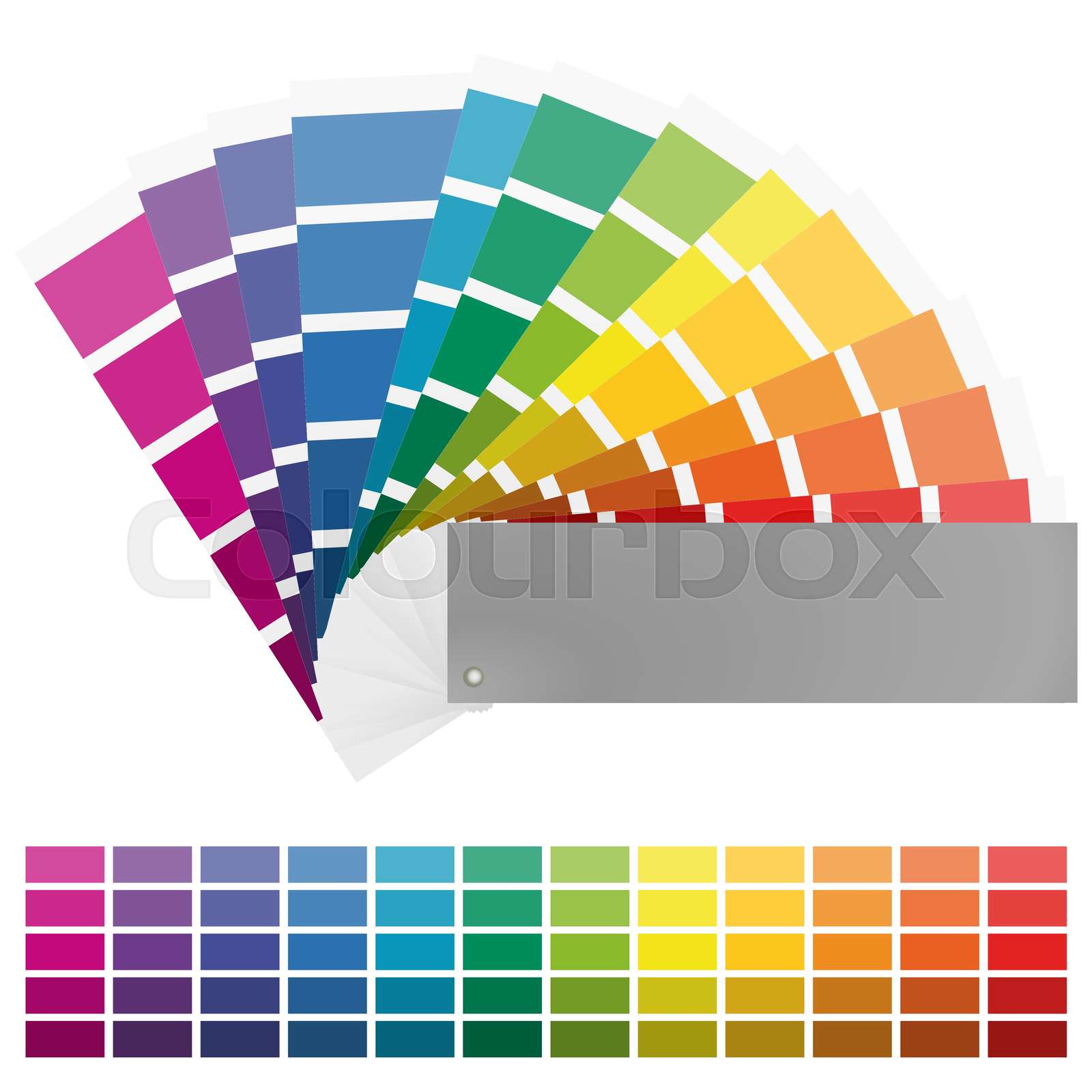 color fan with twelve colors | Stock vector | Colourbox