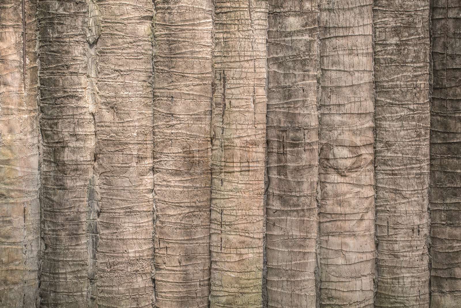 Palm Tree Bark Texture Seamless