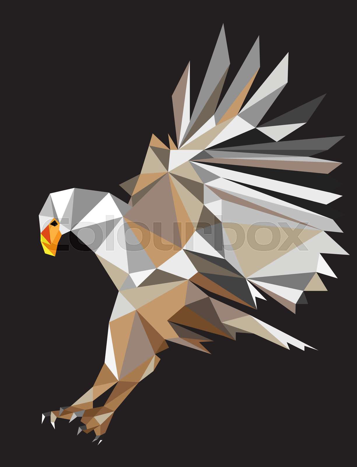 Eagle Flying Stock Vector Colourbox