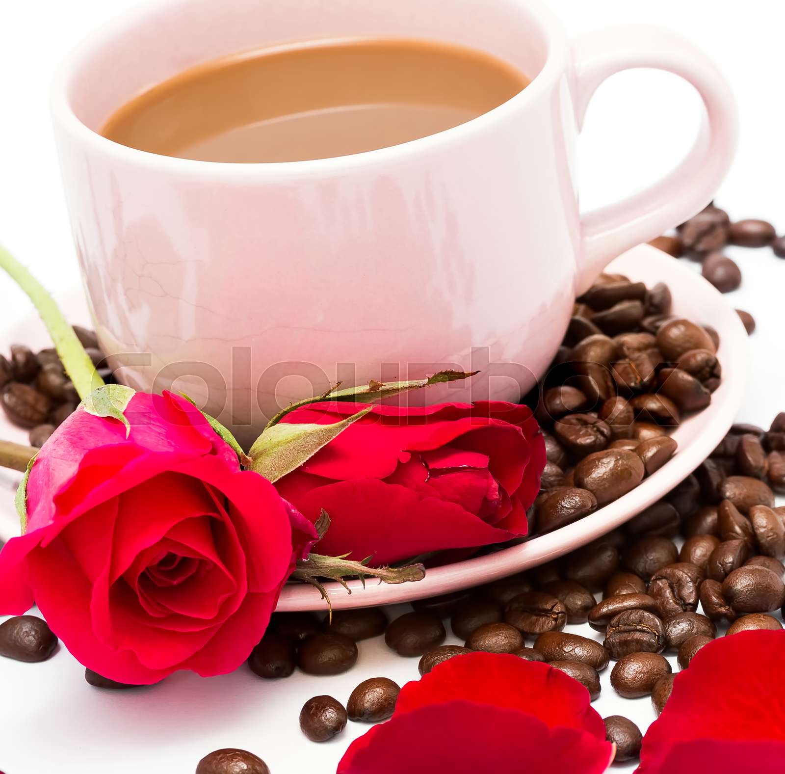 Coffee And Rose Represents Coffees Cup And Decaf | Stock image | Colourbox