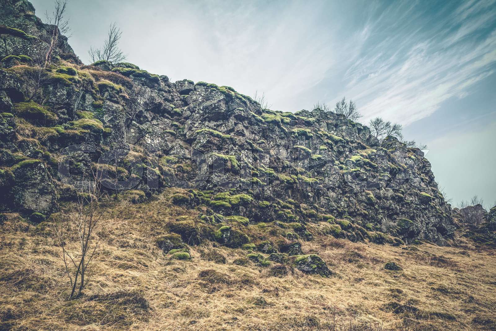 Black cliffs with green moss | Stock image | Colourbox