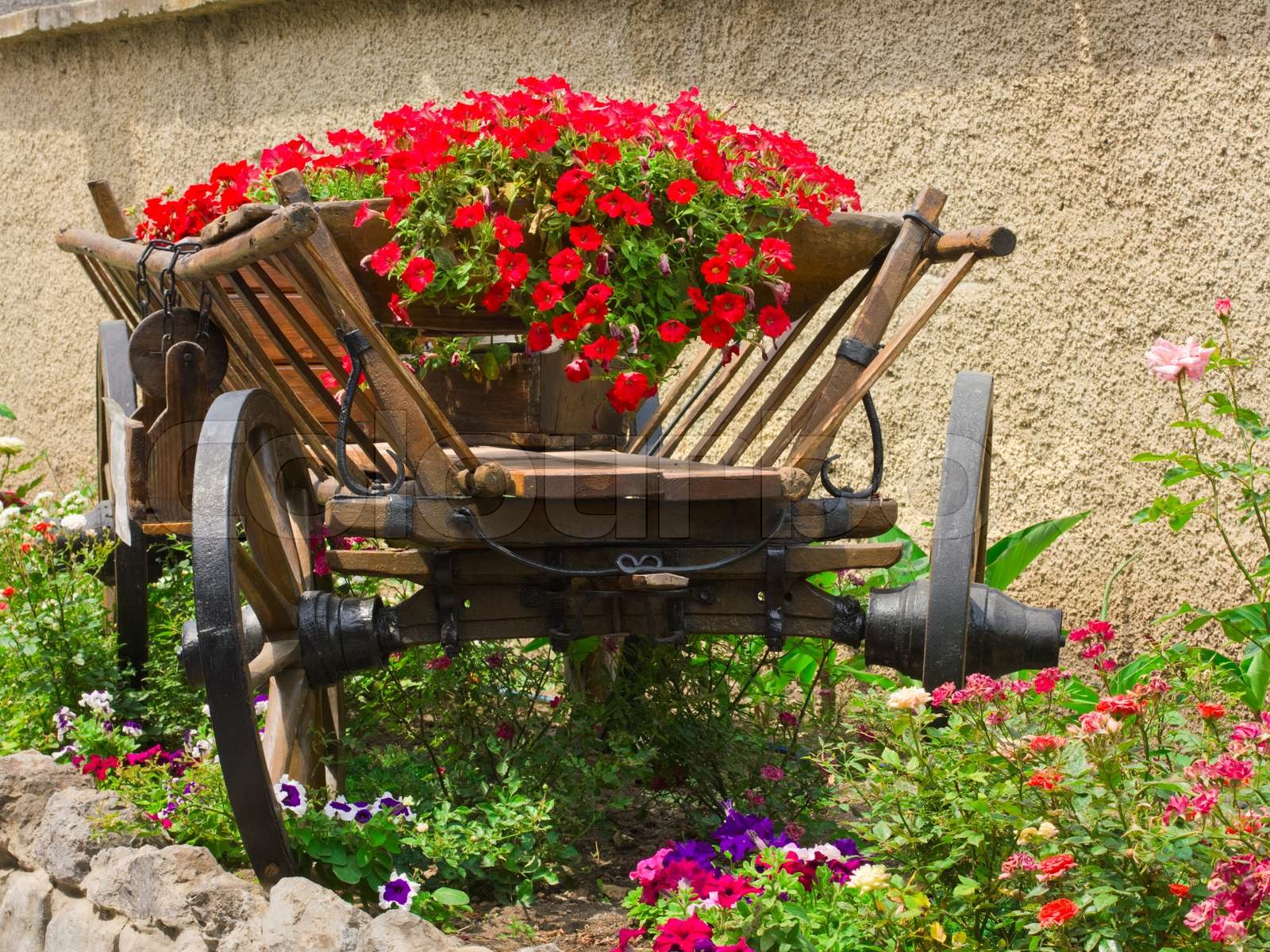 original flower bed with an old peasant carts | Stock image | Colourbox