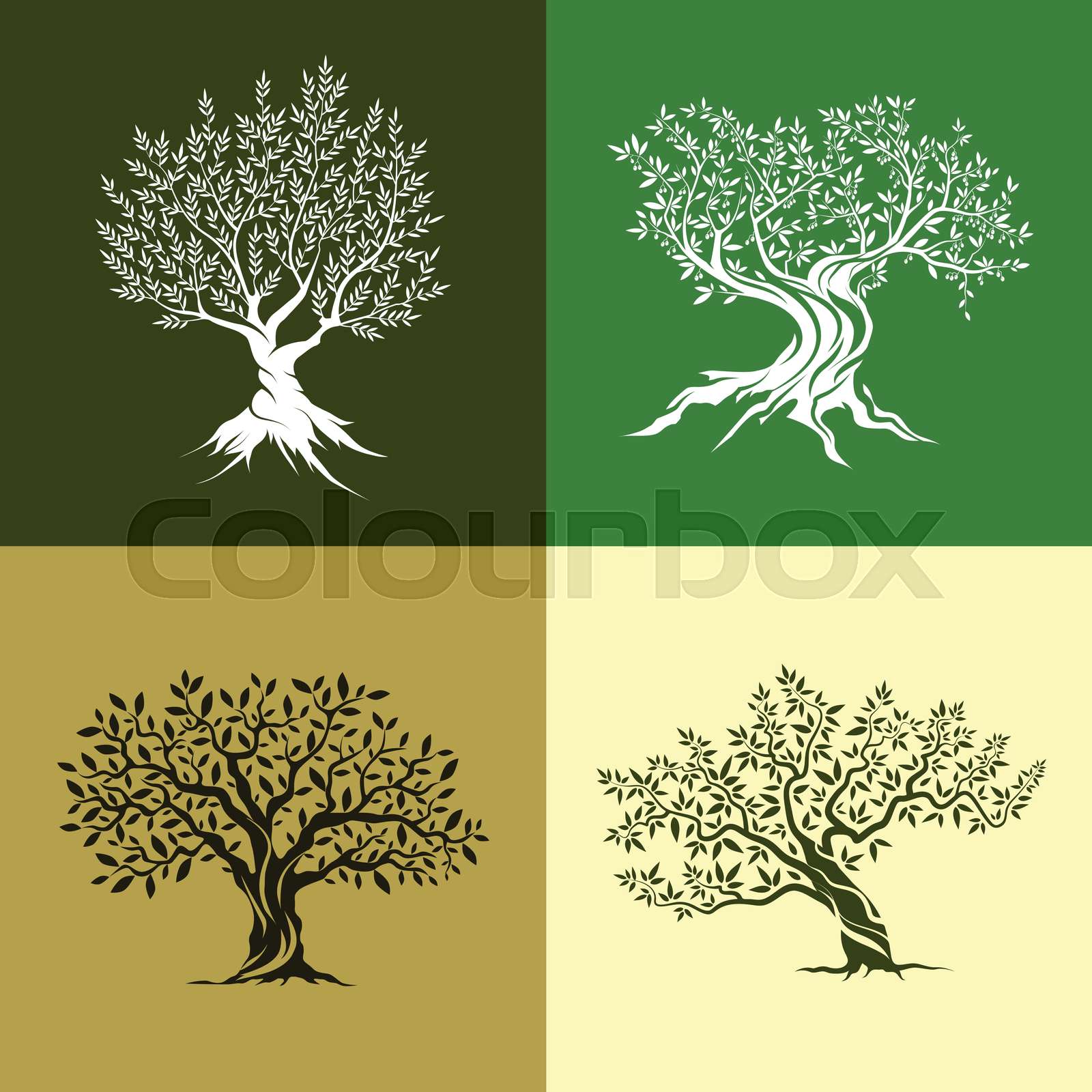 Olive trees icon set. | Stock vector | Colourbox