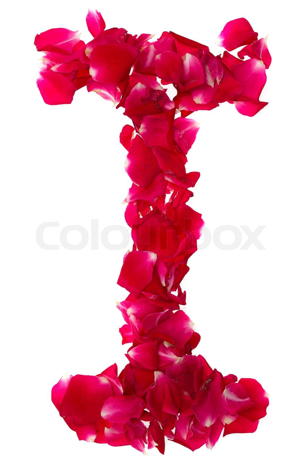 Pink rose petals forming letter I | Stock image | Colourbox